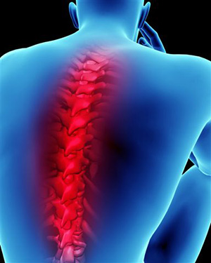 Saltergate Physiotherapy Clinic | What We Treat - Thoracic Problems